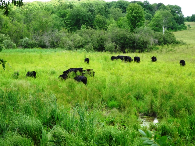 Old Abe State Trail: Brunet Island State Park to Jim Falls – Wisconsin ...