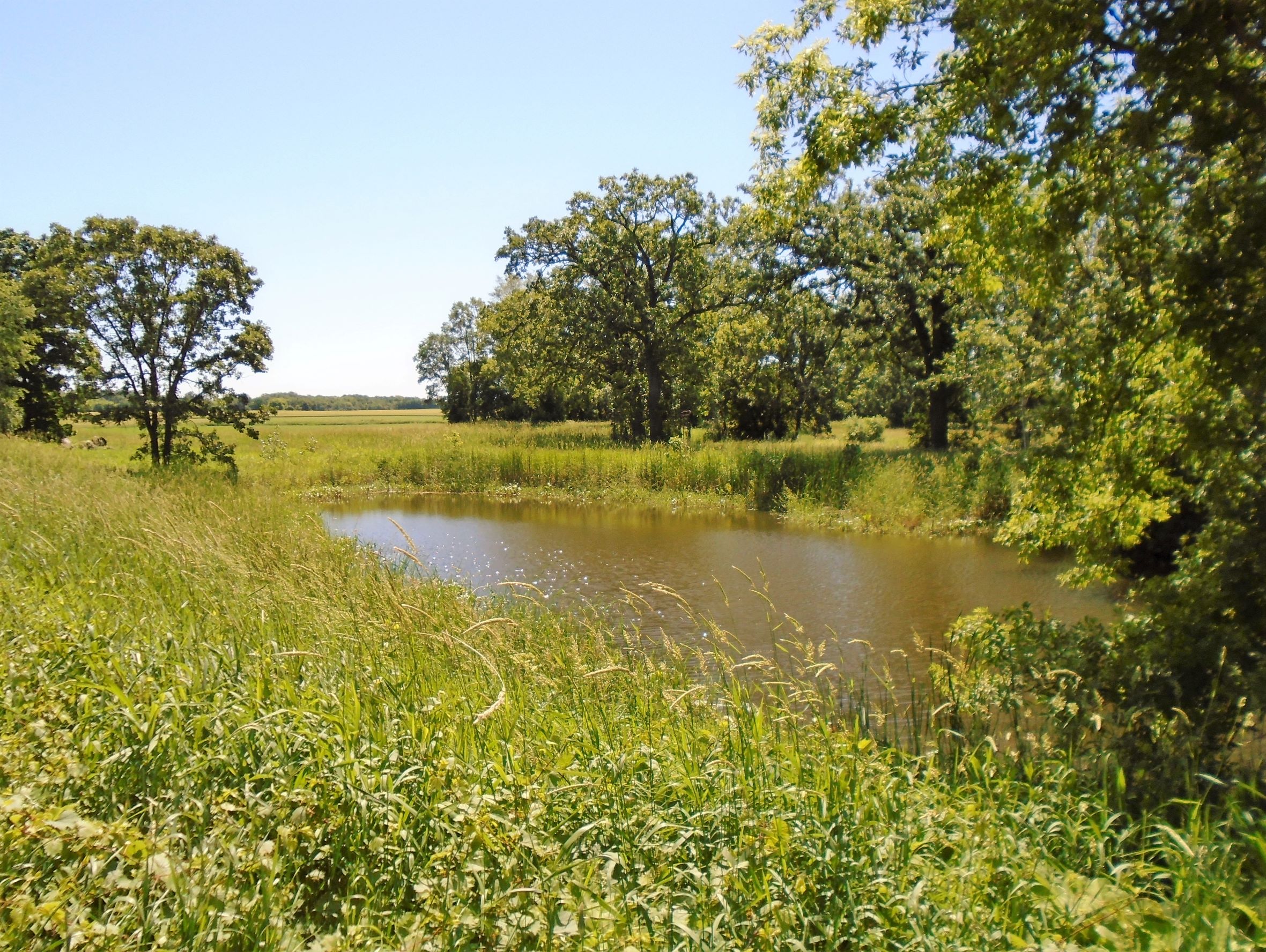 White River State Trail: Burlington to Vandenboom Road – Wisconsin Bike ...