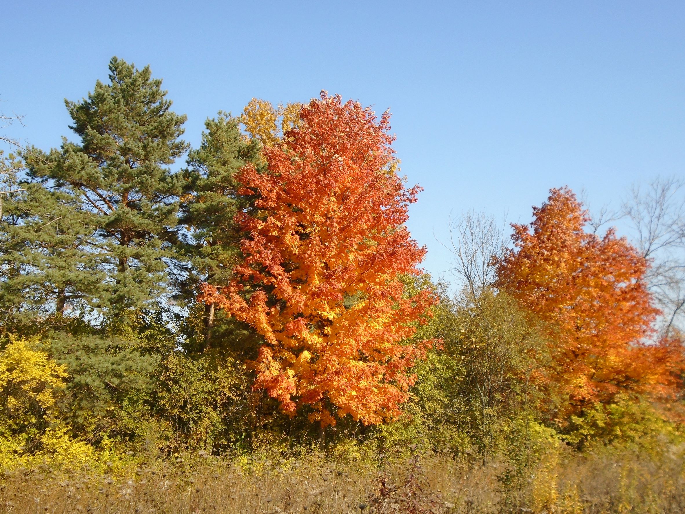 New Berlin Trail – Wisconsin Bike Trails