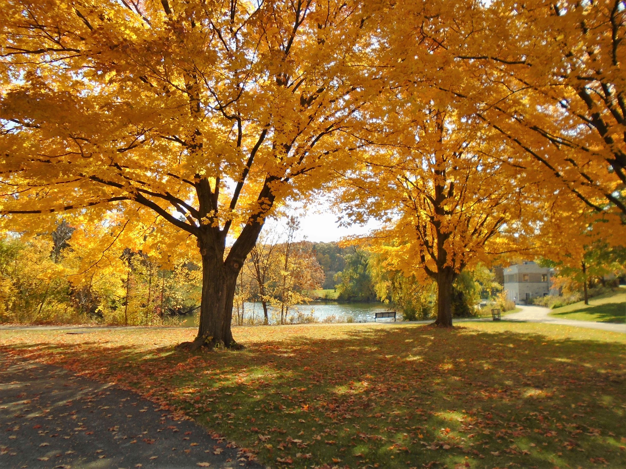New Berlin Trail – Wisconsin Bike Trails