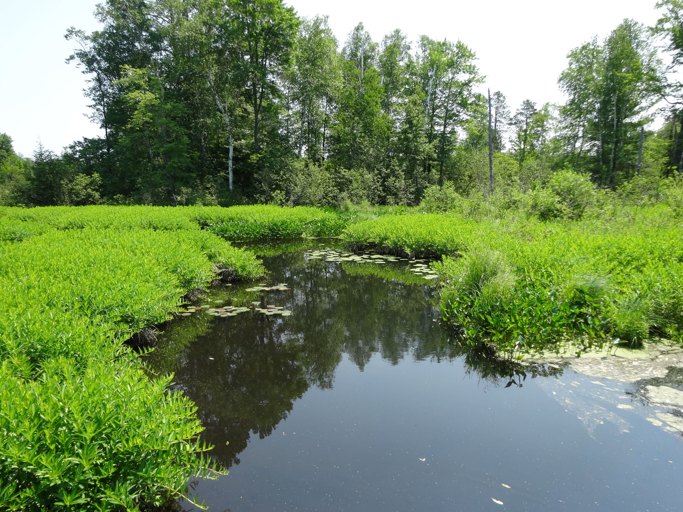 Bearskin State Trail: Lakewood Road County Highway K – Wisconsin Bike ...