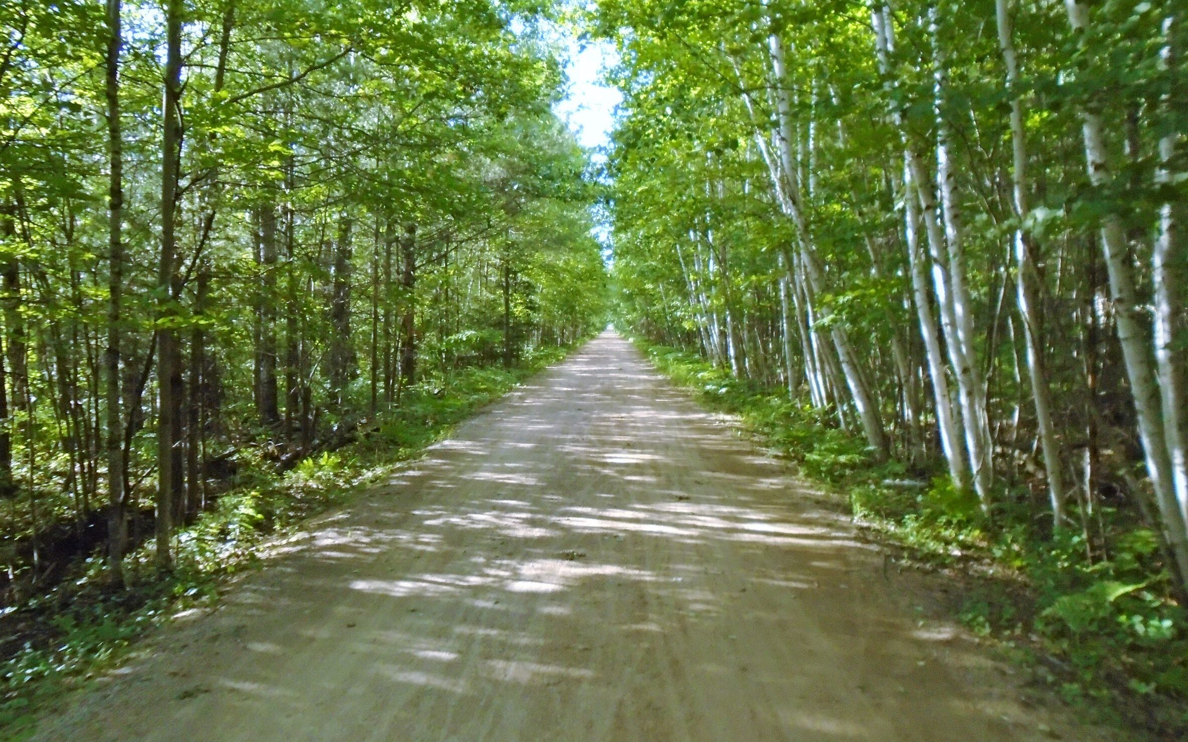 Three Eagle Trail – Wisconsin Bike Trails