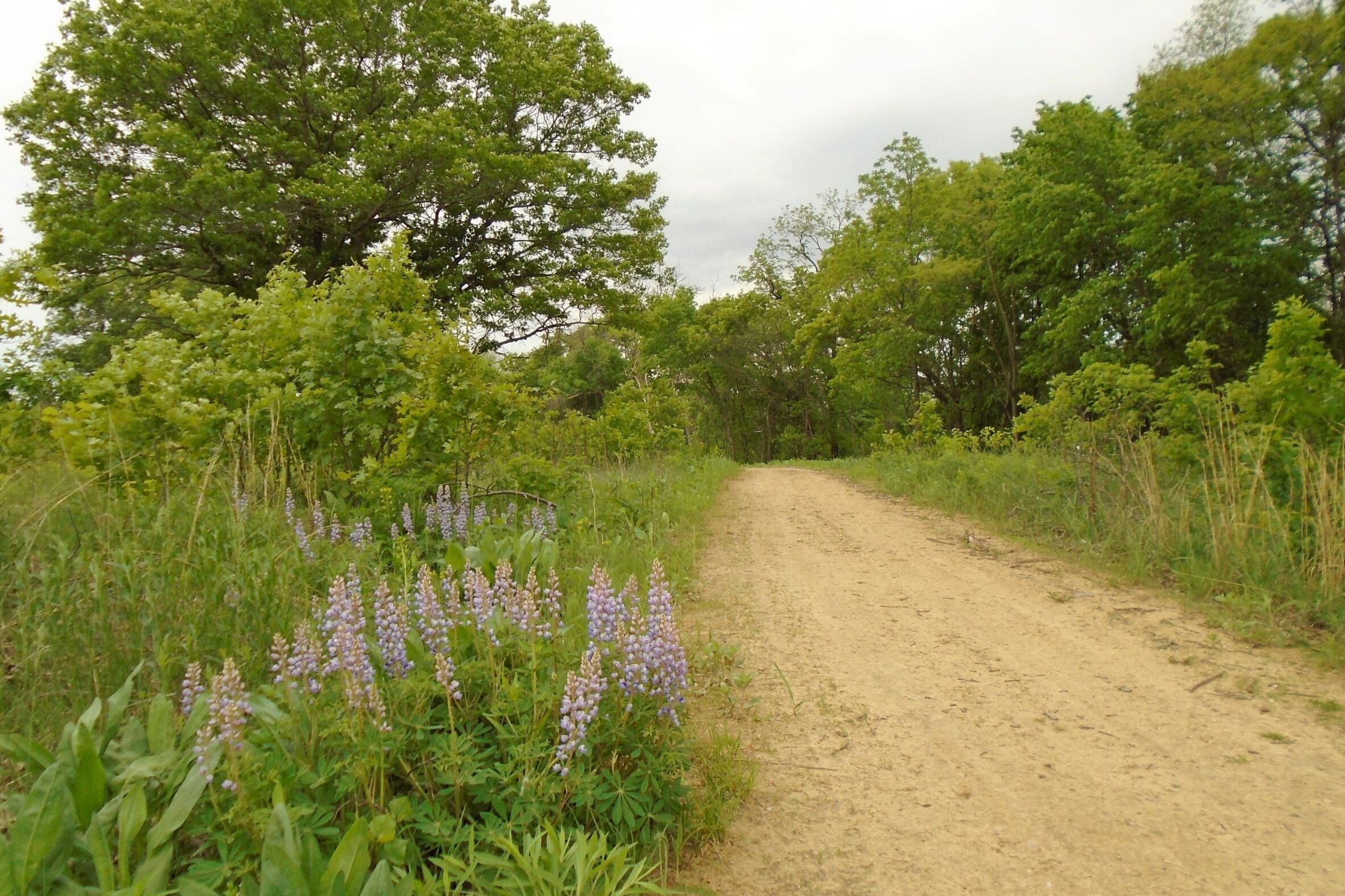 Great River State Trail: Trempealeau to Marshland – Wisconsin Bike Trails