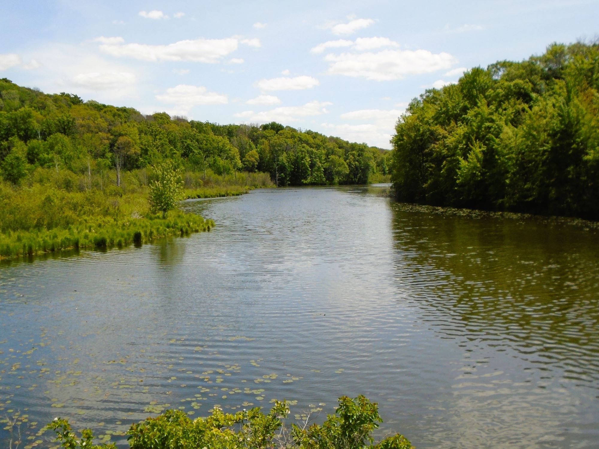 Stower Seven Lakes State Trail: Wanderoos to Lotus Lake County Park ...