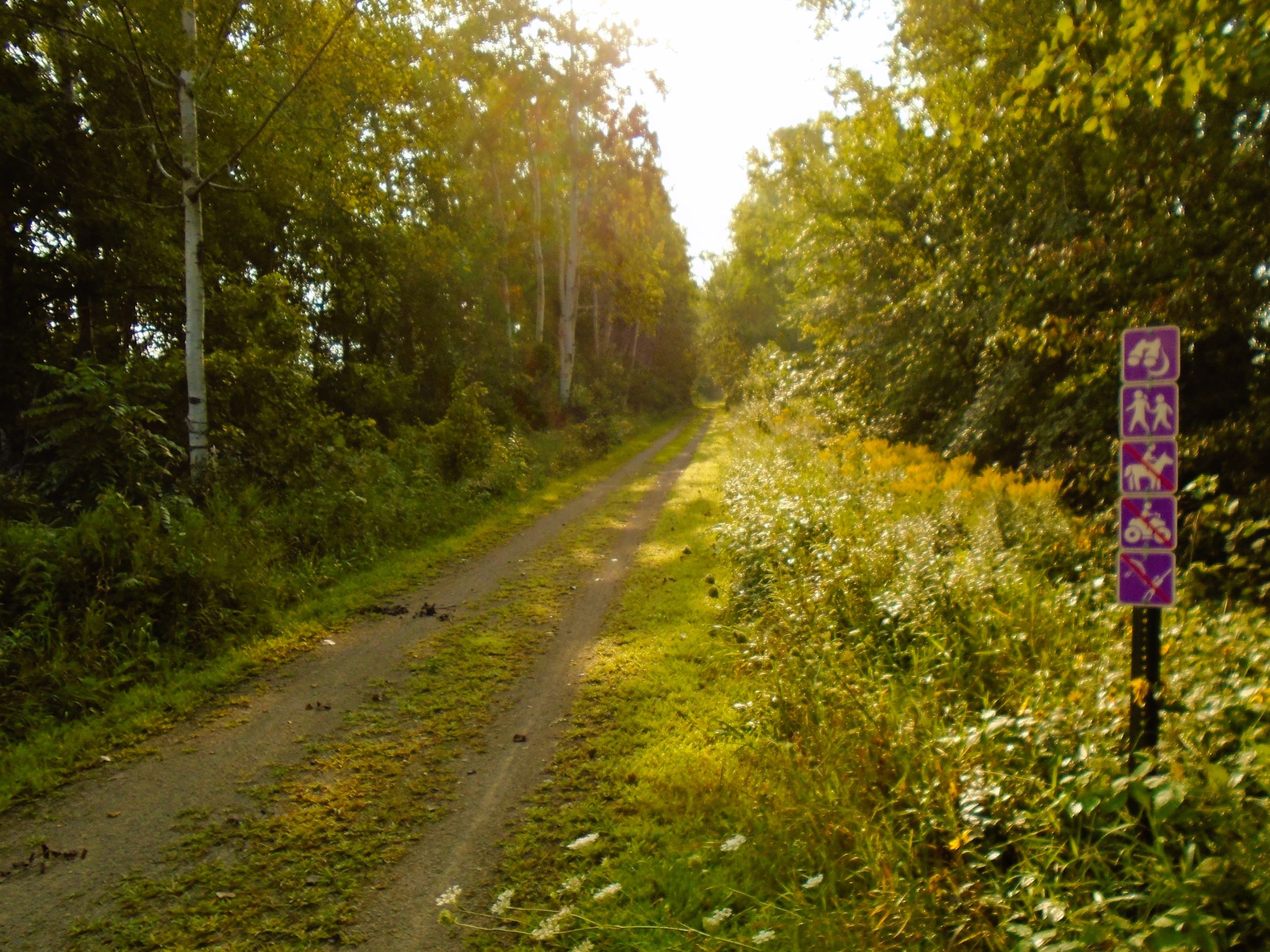 Duck Creek Trail: Oneida to Seymour – Wisconsin Bike Trails