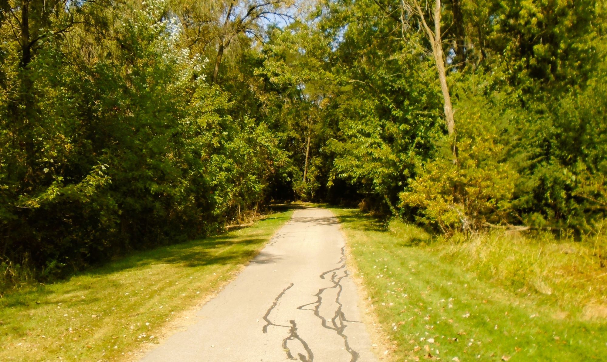 Whitewater City Trails – Wisconsin Bike Trails